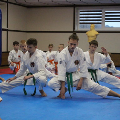 LSKF Diržų egzaminas-15 | Lietuvos Shotokan Karatė Federacija