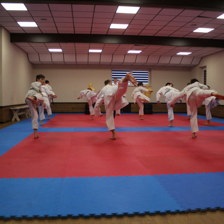 LSKF Diržų egzaminas-34 | Lietuvos Shotokan Karatė Federacija