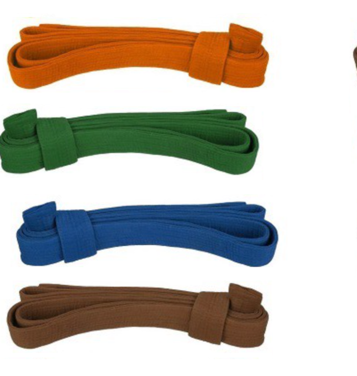 Lietuvos Shotokan Karatė Federacija